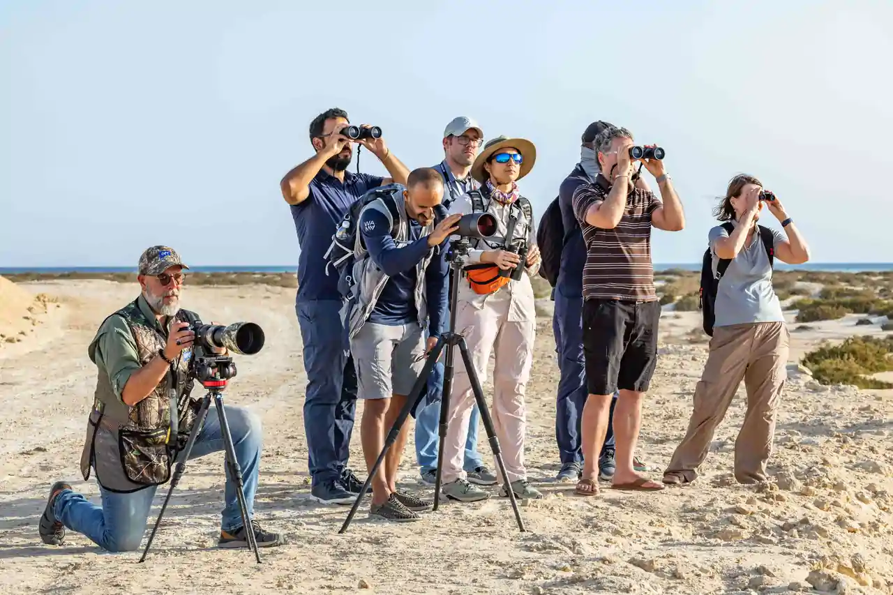 Luxury Stays at SLS The Red Sea, Shura Island | Visit Red Sea