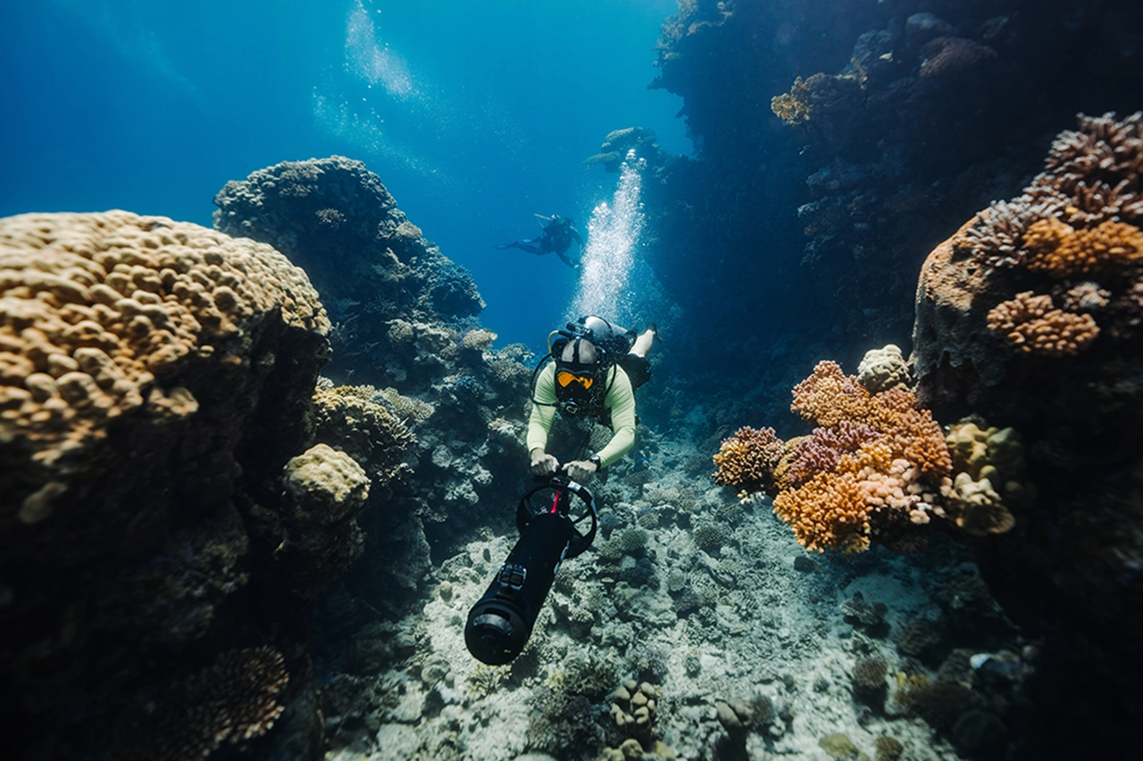 Experience Scuba Diving in the Red Sea Waters | Visit Red Sea
