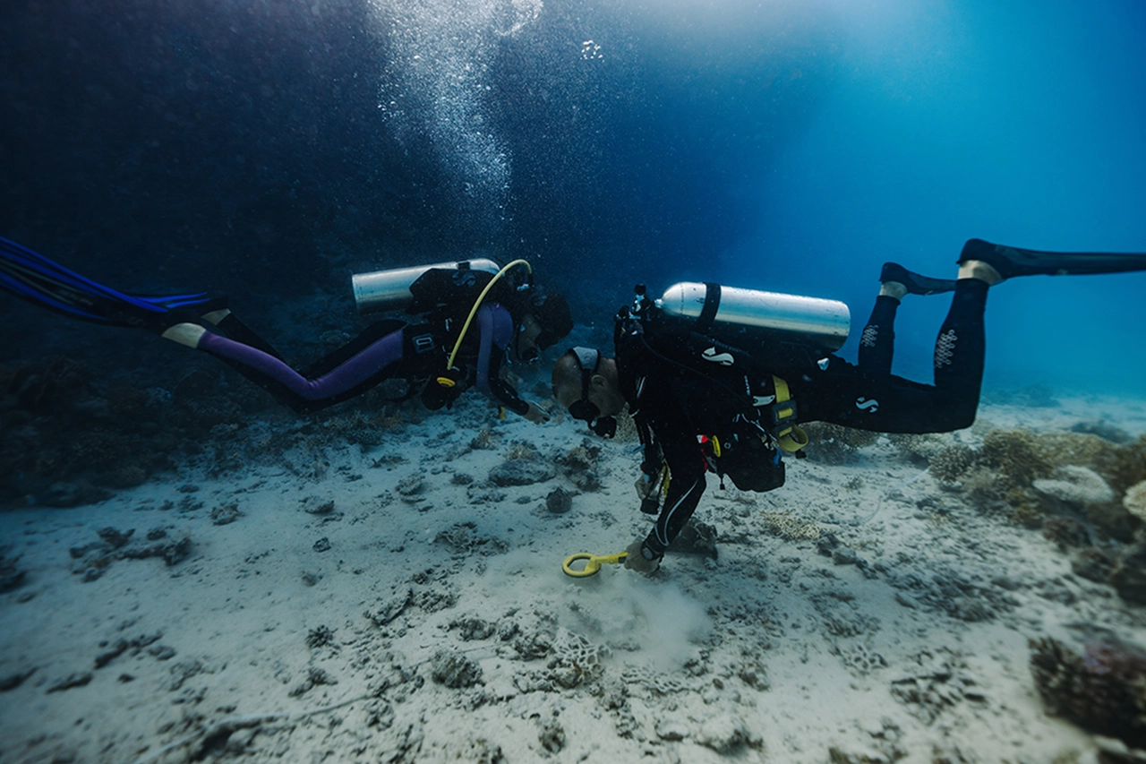 Experience Scuba Diving in the Red Sea Waters | Visit Red Sea