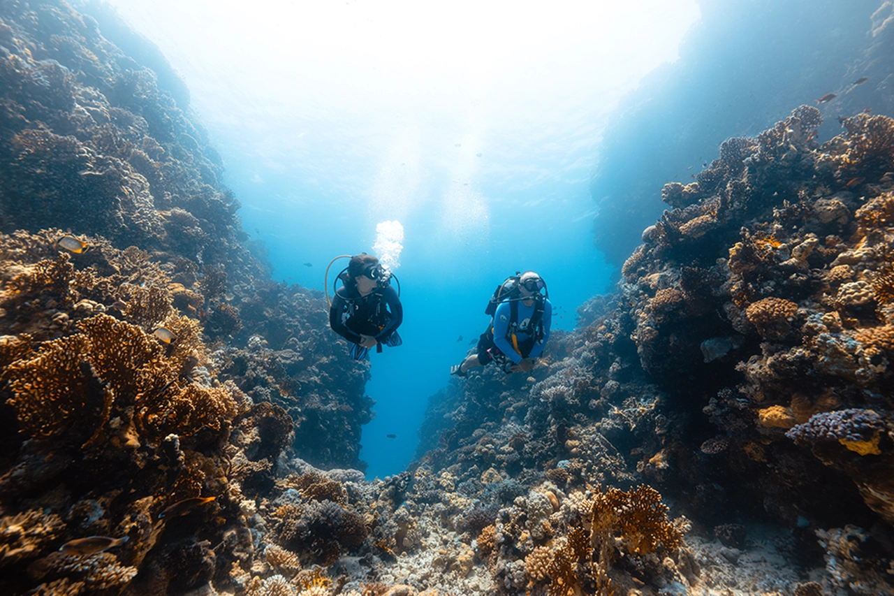 Experience Scuba Diving in the Red Sea Waters | Visit Red Sea