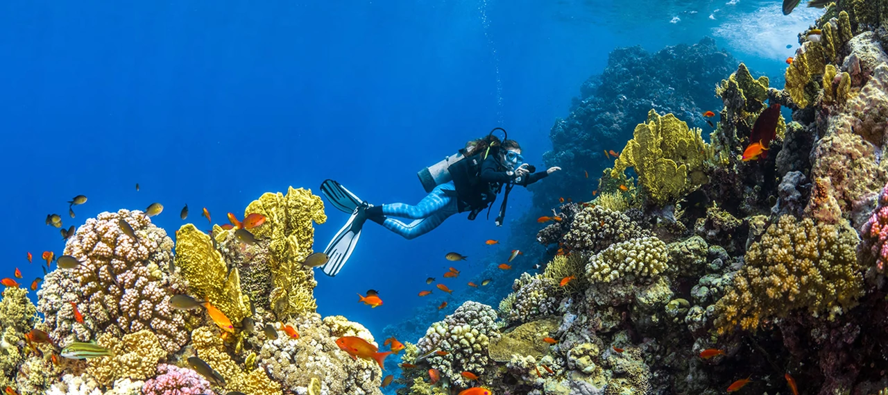Experience Scuba Diving in the Red Sea Waters | Visit Red Sea