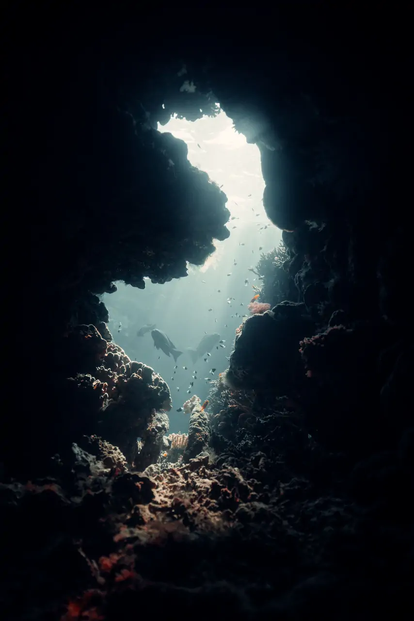 Experience Scuba Diving in the Red Sea Waters | Visit Red Sea