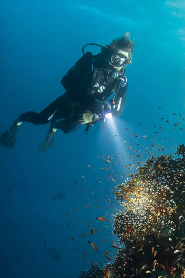 Experience Scuba Diving in the Red Sea Waters | Visit Red Sea