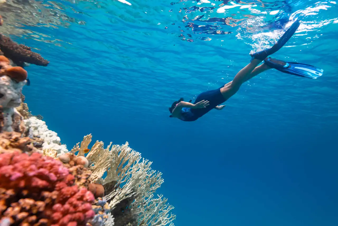 Resorts and experiences in Saudi Arabia | Visit the Red Sea